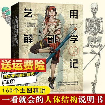 【】艺用解剖学笔记 人体结构说明书央美王少军 作序韩国大触石政贤 伯里曼的黄金搭档绘画理论图