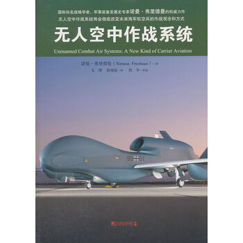 无人空中作战系统