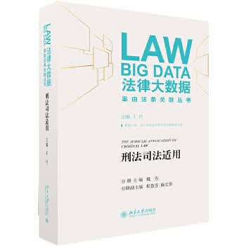 刑法司法适用 9787301305324 王竹 北京大学出版社