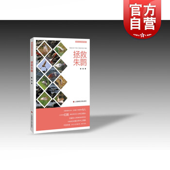 拯救朱鹮  陈旭 著  上海锦绣文章出版社