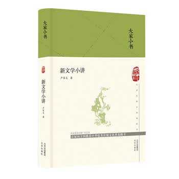 大家小书  新文学小讲（精）