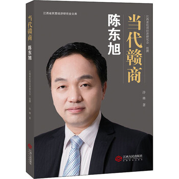 陈东旭 许林  书籍