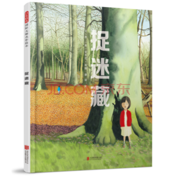 捉迷藏(精)