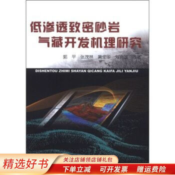 低渗透致密砂岩气藏开发机理研究