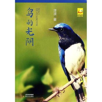 鸟的光阴