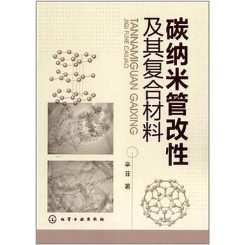 碳纳米管改性及其复合材料 辛菲 9787122145260