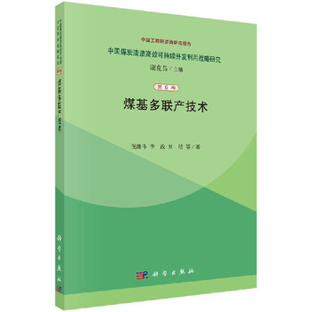 煤基多联产技术/倪维斗