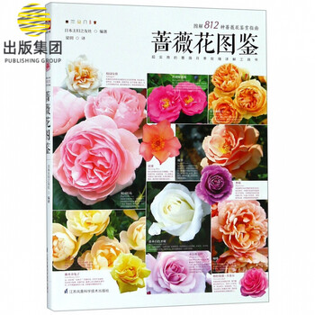 蔷薇花图鉴