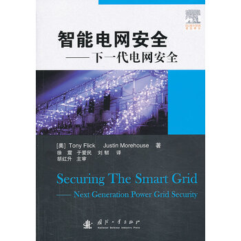 智能电网安全:下一代电网安全【正版图书】