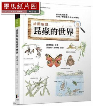 预售 台版 绘图解说 昆虫的世界 晨星
