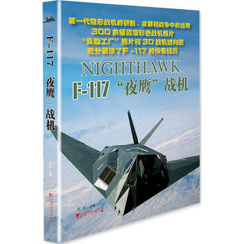 F-117“夜鹰”战机