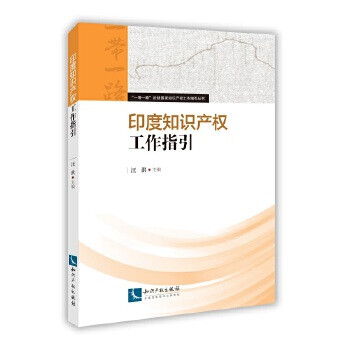 知识产权工作指引 汪洪