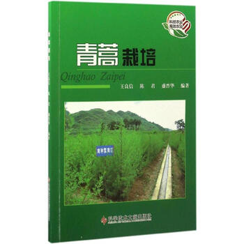 青蒿栽培