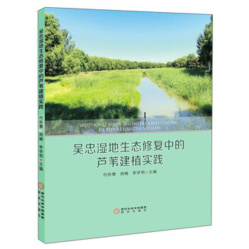 吴忠湿地生态修复中的芦苇建植实践