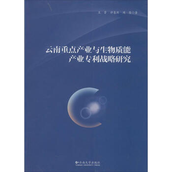 云南重点产业与生物质能产业专利战略研究