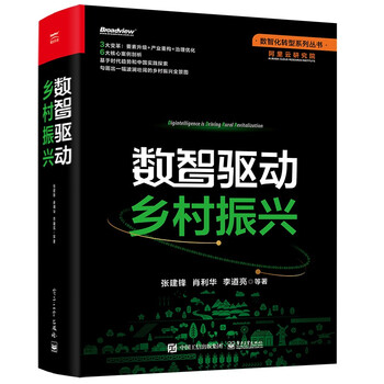 数智驱动乡村振兴(博文视点出品)