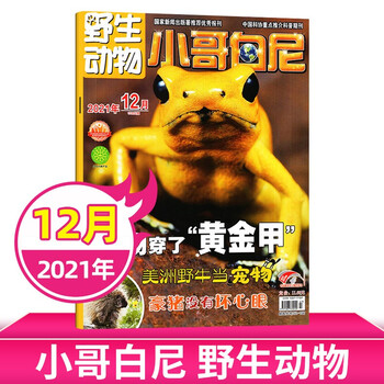 【包邮现货速发】小哥白尼杂志每月单期持续更新【军事科学】【野生动物】【神奇星球】【趣味科学】4刊可选 2021年12期野生动物