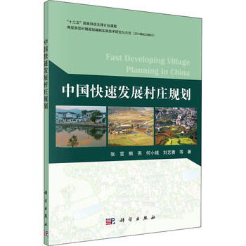 中国快速发展村规划