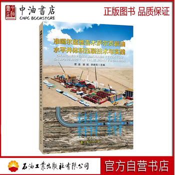准噶尔盆地吉木萨尔页岩油水平井体积压裂技术与实践 石油工业出版社 9787518343287