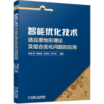 智能优化技术 适应度地形理论及组合优化问题的应用 9787111658467 机械工业出版社