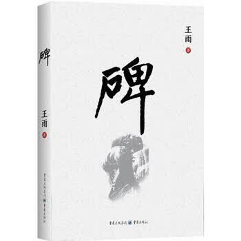 碑 王雨  书籍
