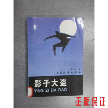 保证正版  可开发票！！影子大盗