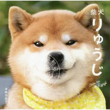进口日文 柴犬写真集 狗子 治愈 柴犬りゅうじ