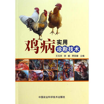 鸡病实用诊断技术 王玉田 等 书籍