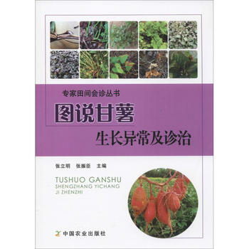 图说甘薯生长异常及诊治
