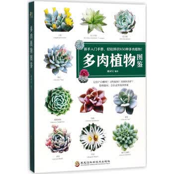 多肉植物图鉴