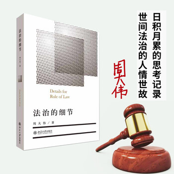 法治的细节 周大伟 著  法学理论 法学理论