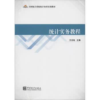 统计实务教程 王志电 主编 作 书籍