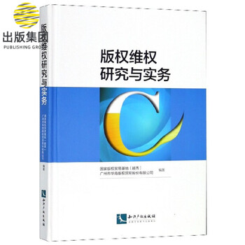 版权维权研究与实务(精)