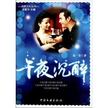 午夜沉醉文化酒吧文化 图书