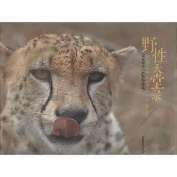 野性天堂录