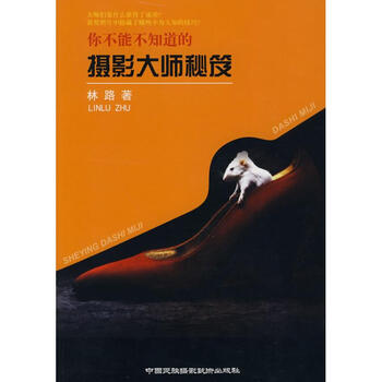 摄影大师秘笈 林路？？ 作 书籍