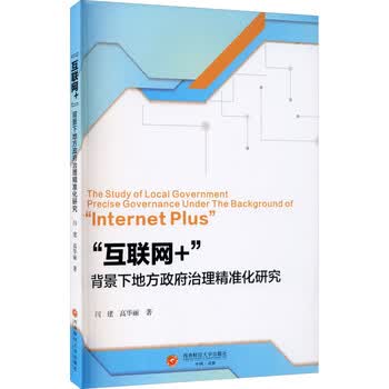 “互联网+”背景下地方政府治理精准化研究