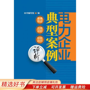 电力企业典型案例评析