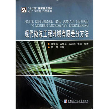 现代微波工程时域有限差分方法