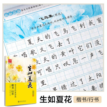 田英章书楷书字帖行书大学生成年正楷体手写临摹本硬笔练字帖 楷书行书-生如夏花