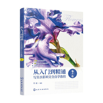 【正版书籍】从入门到精通 肖瑶 编著 绘画