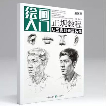 敲门砖绘画入门正规教程从局部到人物速写从单体到色彩静物从五官到素描头像结构到素描静物几何体石膏头像 从五官到素描头像