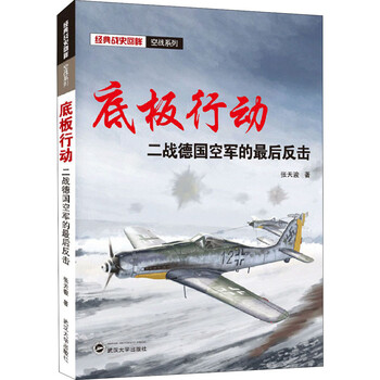 底板行动 二战德国空军的最后反击