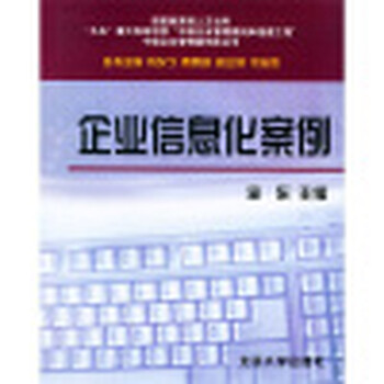 企业信息化案例 【正版书】