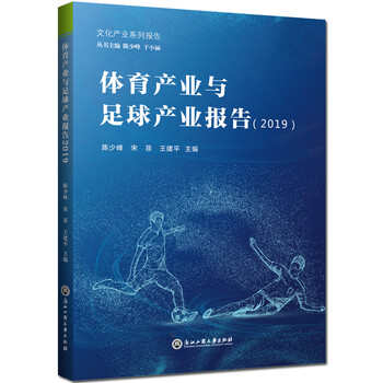 体育产业与足球产业报告2019 陈少峰王建平宋菲  书籍