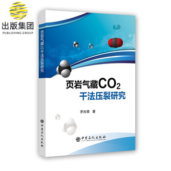 页岩气藏CO2干法压裂研究
