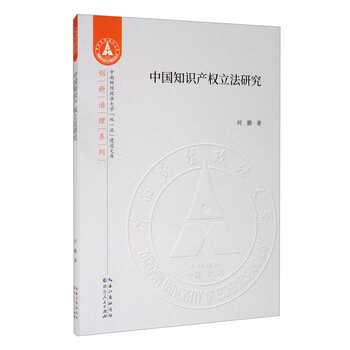 中国知识产权立法研究