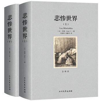 悲惨世界 上下2册 雨果著 全译本无删减完整中文版 世界经典名著 外国文学小说 北方文艺