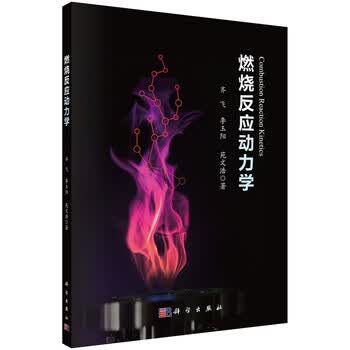 燃烧反应动力学 齐飞李玉阳苑文浩 9787030675941科学出版社