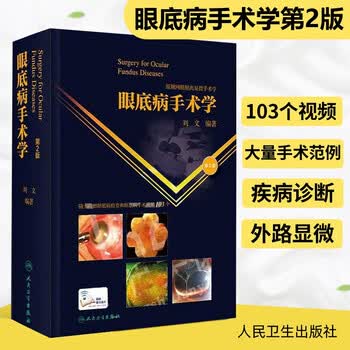 眼底病手术学 第2二版 刘文 原视网膜脱离显微手术学眼科书籍眼科学眼视光学医生门诊笔记实用眼科学